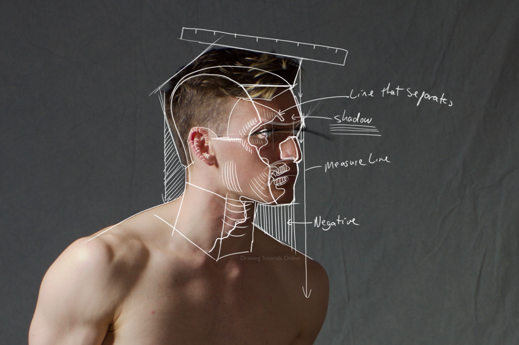 First Lines When Drawing A Portrait – Process | Drawing Tutorials ...