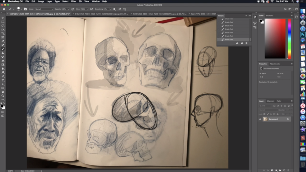 Coaching Options | Drawing Tutorials Online Blog